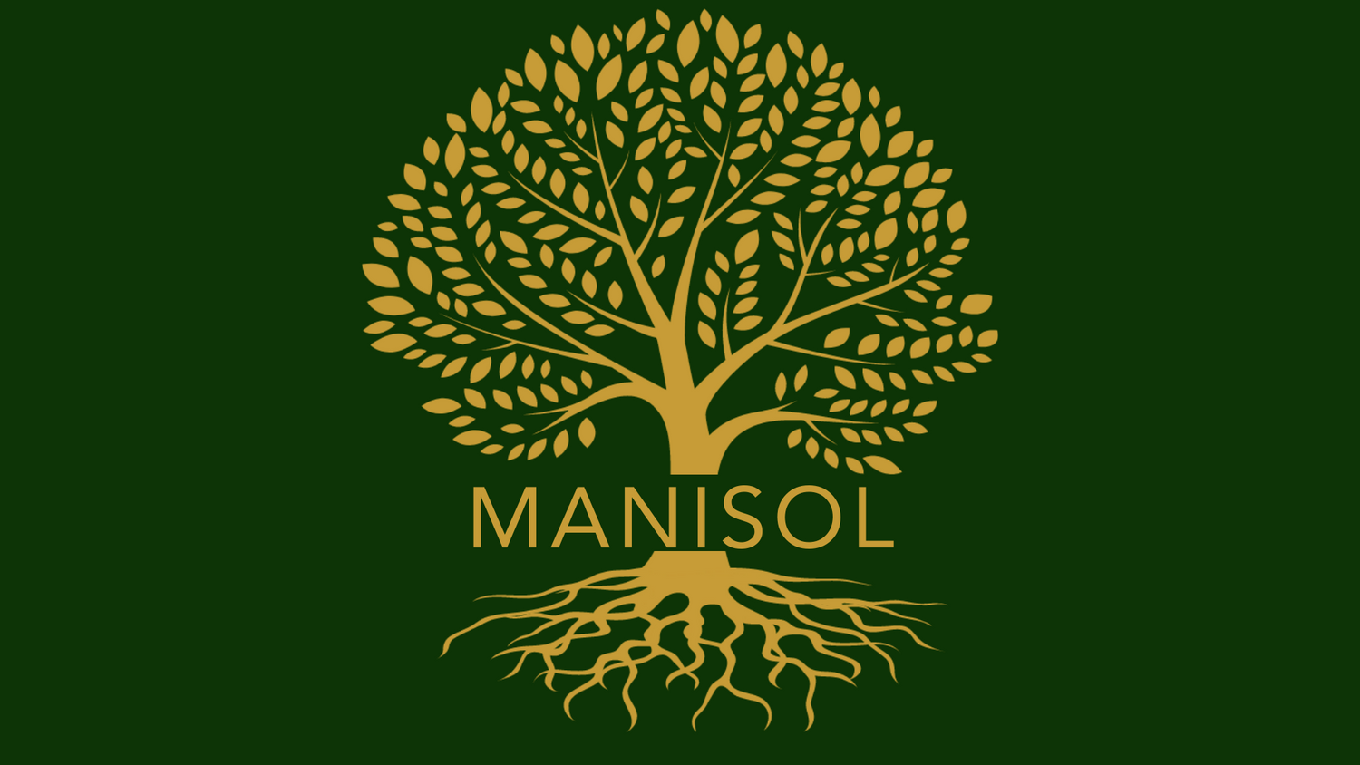 ManiSol